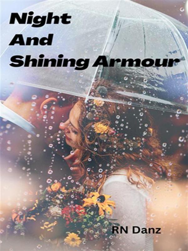Night And Shining Armour novel by RN Danz PDF Read Online - MoboReader