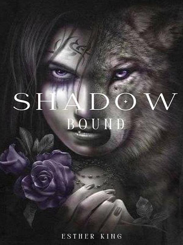 Shadowbound novel by Olabode100 PDF Read Online - - MoboReader